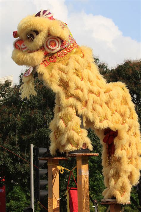 【舞狮摄影图片】中山市纪实摄影 中山马龙摄影博客 太平洋电脑网摄影部落