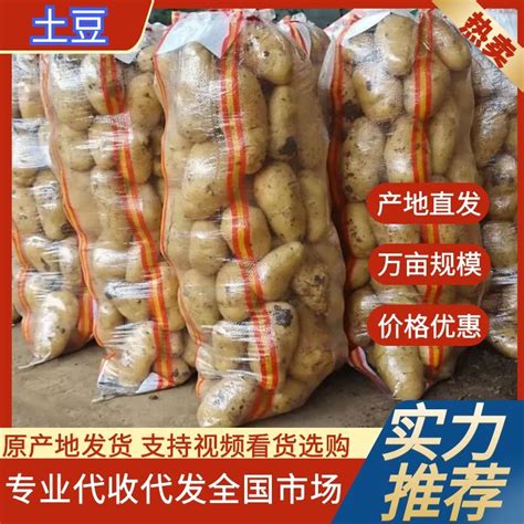 黄心土豆批发 河南开封通许县土豆 070元斤河南精品黄心土 一亩田
