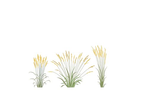 Set Of Flat Vector Trees Clipart Flat Vector Plant Illustration AI SVG PNG Etsy