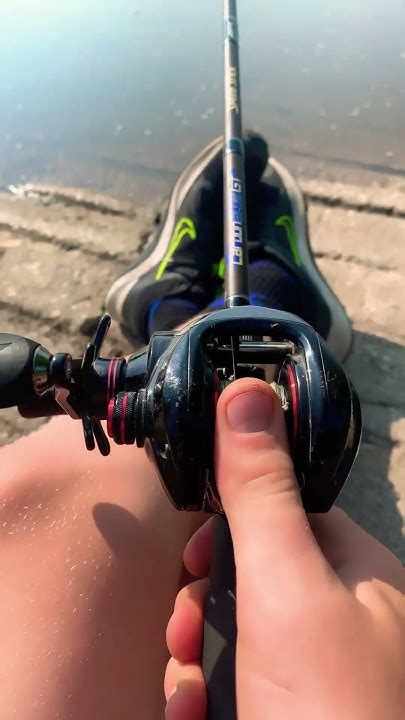 Fishing Fish Baitcaster Fishpool Water Lewers Youtube