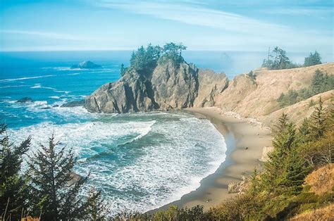 Spectacular Devils Backbone On The Oregon Coast