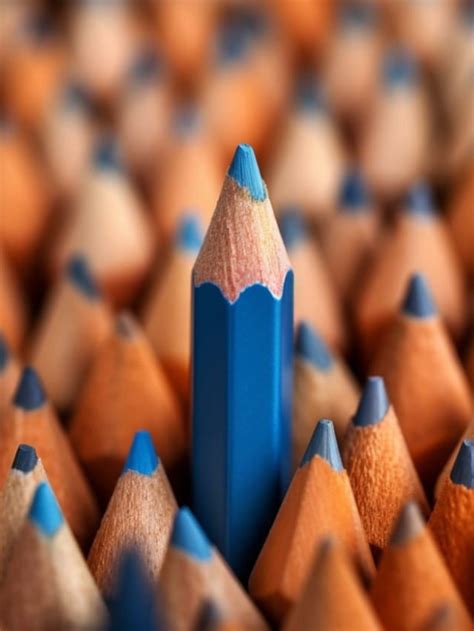 आत्मनिर्भर रहना पसंद करते हैं ‘लोन वुल्फ पर्सनालिटी वाले लोग जानिए इनके बारे में कुछ और रोचक