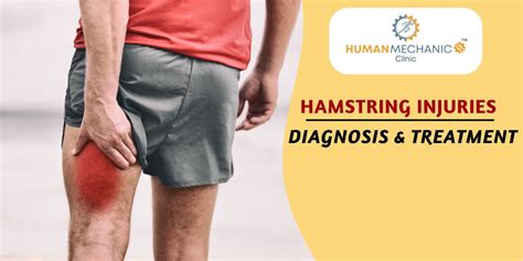 Hamstring Injuries In Athletes Diagnosis And Treatment