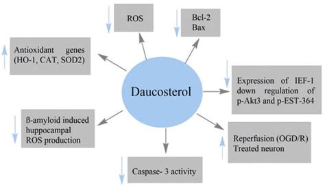 Natural Sources Pharmacological Properties And Health Benefits Of