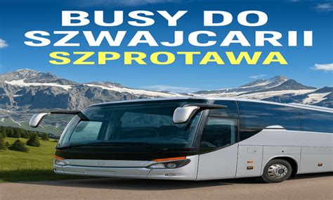 Understanding The Tooth Root Structure Function And Importance In