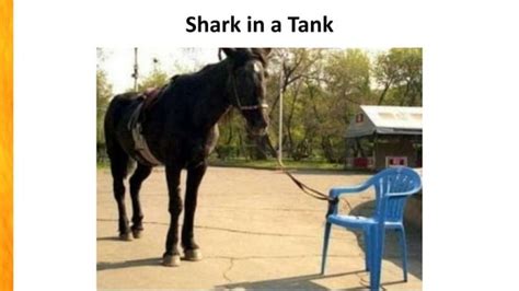 Digital And Social Media For Implementation And Monitoring Of Nyks Projects Ppt