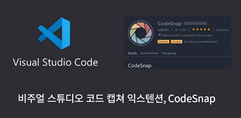 비주얼 스튜디오 코드 캡쳐 익스텐션 Codesnap 코딩웍스coding Works님의 블로그 인프런 커뮤니티