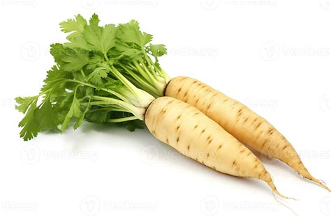 Parsnip Isolated On White Background AI Generated 32279027 Stock Photo At Vecteezy