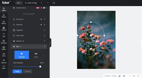 How To Blur Background On Iphone Instantly 5 Easy Ways