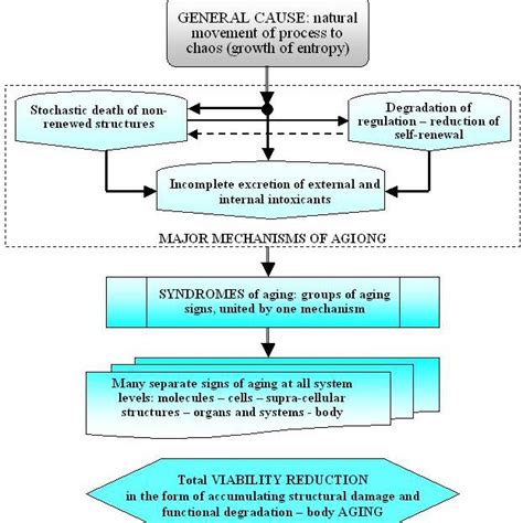 Hierarchical Structure Of Aging Mechanisms Download Scientific Diagram