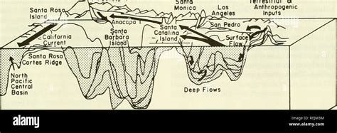 Coastal Ocean Margins Program Coastal Ecology Research United
