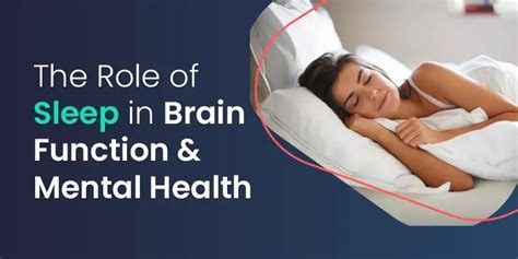 The Role Of Sleep In Brain Function And Mental Health
