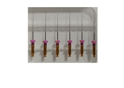 Path Files רם און פתרונות