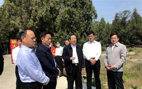 石爱作到滕州市督导调研森林防火工作澎湃号·政务澎湃新闻 The Paper