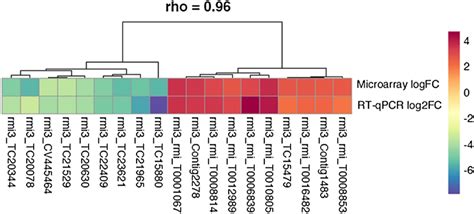 Hierarchical Clustering Of Differentially Expressed Transcripts Based