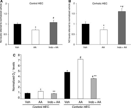 Effects Of COX Activity On Nitric Oxide NO Bioavailability And Download Scientific Diagram
