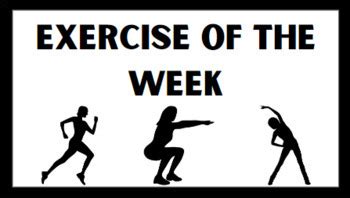 Darby Scharfenkamp Teaching Resources Teachers Pay Teachers