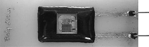 Module With A Microelectrode Structure Download Scientific Diagram