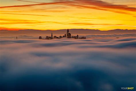 个人站点 熊猫和鱼🐟