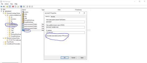 Konfigurasi Dns Server Windows 2019 Hebatwijaya