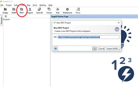 Use Soapui To Make Rest Calls Project Insight Help Center