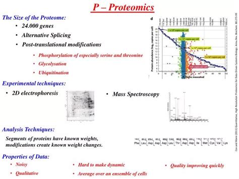 Ppt P Proteomics Powerpoint Presentation Free Download Id1451362