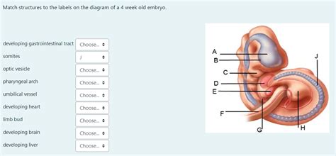 Match Structures To The Labels On The StudyX