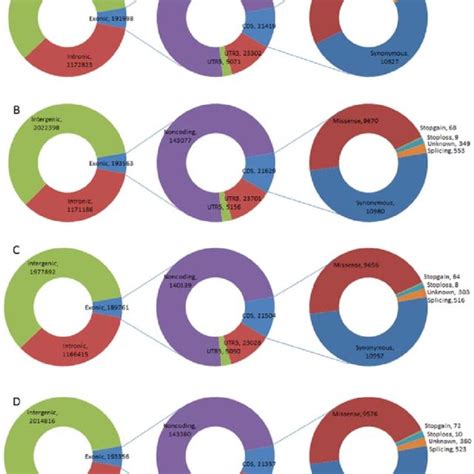 statistical results of sequence depth and coverage of bases in each