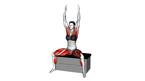 Female Video Exercise Guide Sitting Jack On Padded Stool Tips