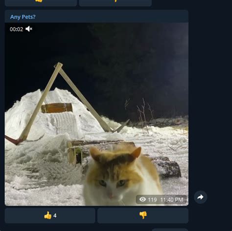 Python How To Upload Instant Playable Video To Telegram Stack Overflow