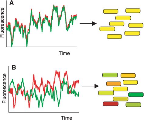Figure 1 From Stochastic Gene Expression In A Single Cell Semantic Scholar