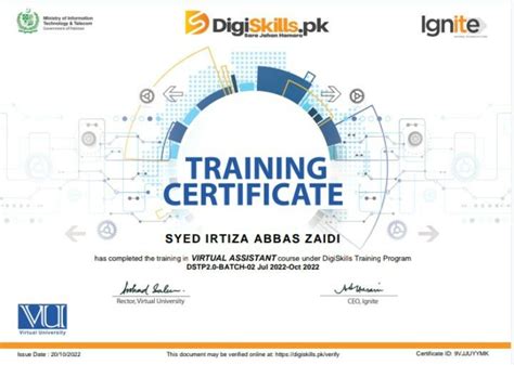 Syed Irtiza Abbas Zaidi 🇵🇰 ️ On Linkedin Digiskillstrainingprogram Virtualassistant