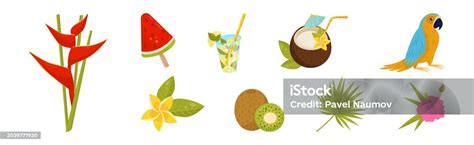 열 대 요소 와 칵테일 아이스크림 앵무새 과일 와 꽃 벡터 세트 0명에 대한 스톡 벡터 아트 및 기타 이미지 0명 개념 건강한 식생활 Istock