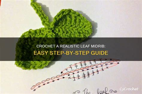 Crochet A Realistic Leaf Midrib Easy Step By Step Guide Cycrochet
