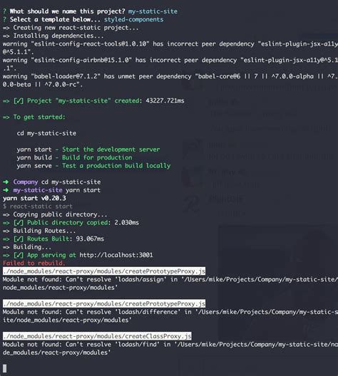 Creating Project With `styled Components` Template Fails On Start Because Lodash Isnt Installed