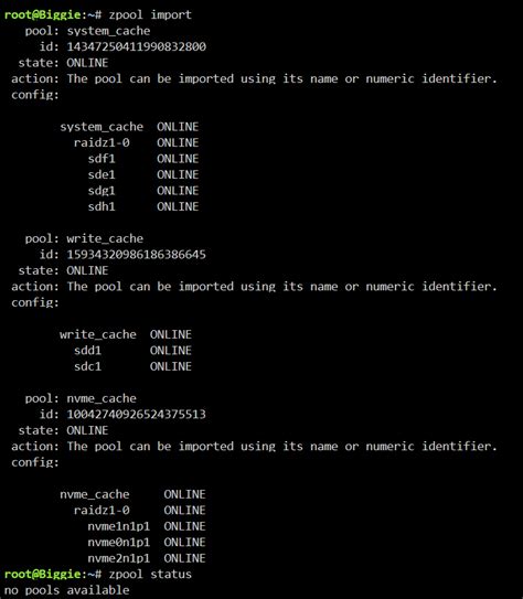 Importing Zpools After Pools Have Gone Empty Unraid 61211 General Support Unraid