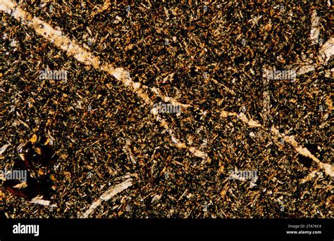 Lamprophyre Is An Ultrapotassic Igneous Rock That Appearing In Form Of