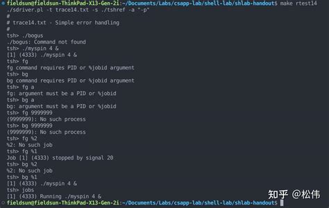 实验四:shell Lab(下) 知乎 实验四:shell Lab(下) 知乎