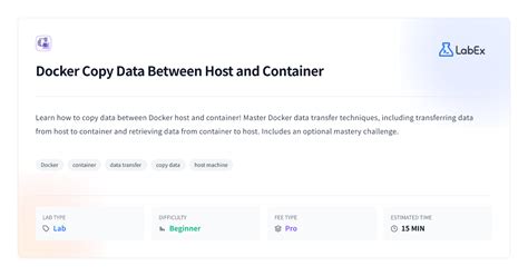 Docker 데이터 전송 호스트와 컨테이너 간 데이터 복사 방법 Labex