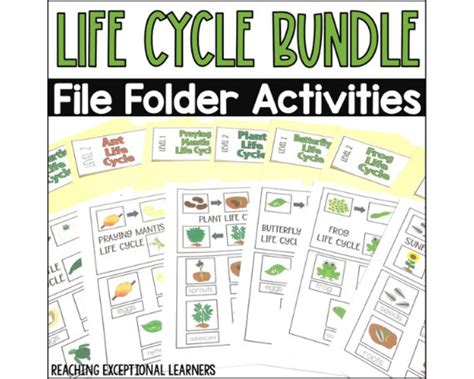 Life Cycle File Folder Activities Bundle Etsy