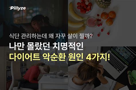 ‘왜 식단관리 해도 살 안 빠질까 약사가 알려주는 과학적인 다이어트 황금 루틴 수면 다이어트 혈당 다이어트 2025