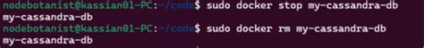 Running Apache Cassandra® Single And Multi Node Clusters With Docker Compose