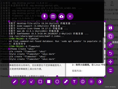 linux截图方法推荐 csdn博客