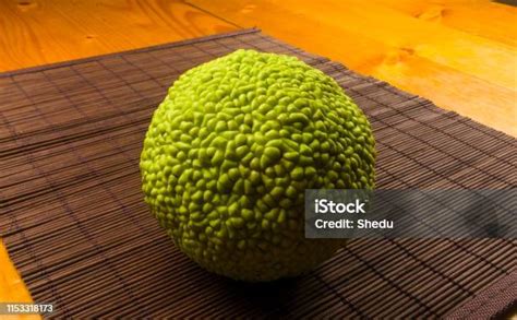 맥 라 포 미 페 라의 녹색 열매 오 사지 오렌지 말 사과 아담 사과 대나무 매트에 성장 건강 진단에 대한 스톡 사진 및 기타 이미지 Istock