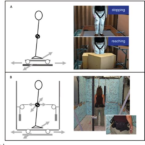 Figure 1 From Effect Of A Perturbation Based Balance Training Program On Compensatory Stepping