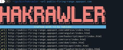 hakrawler url public firing depth 1 doesn
