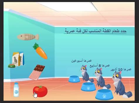 Manar Ahmed Elsayed On Linkedin Team Graduationproject Iti 16 Comments