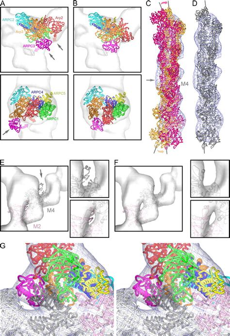 Fits Of Unmodified And Modified Crystal Structures In The Download Scientific Diagram