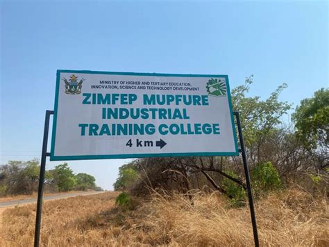 Female Students Thrive In Agriculture And Animal Husbandry At Mupfure