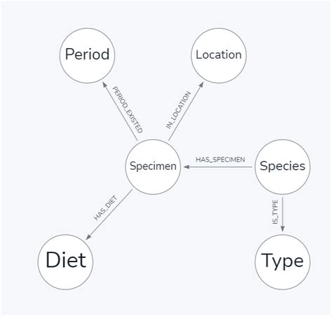 Neo4j Json To C Classes Xclave